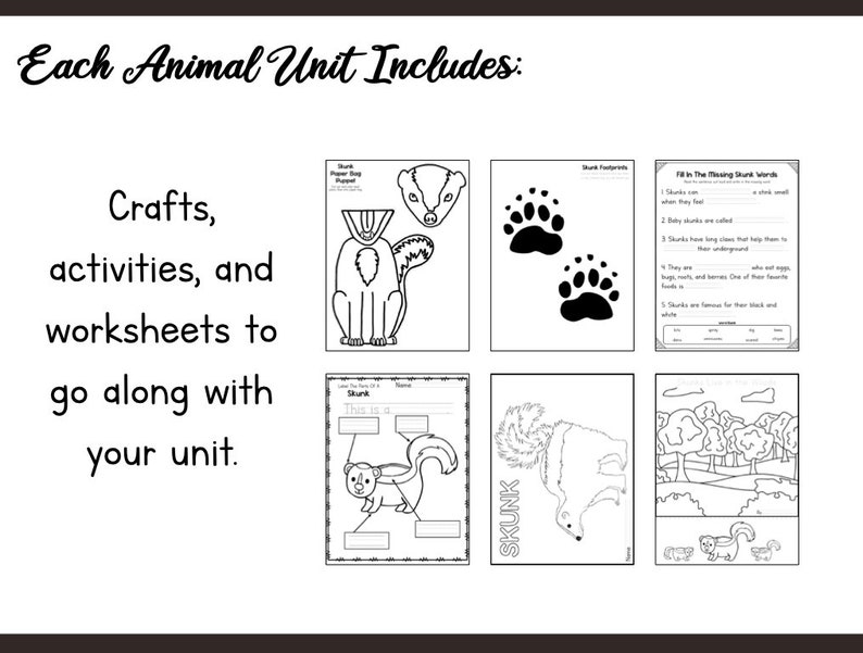 All About Skunks- Animal Science Unit - Etsy