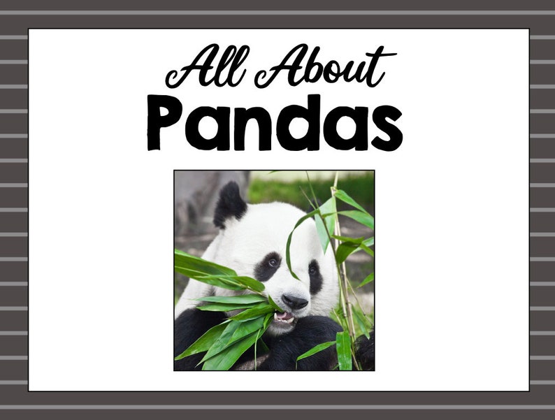 All About Pandas- Animal Science Unit - Etsy