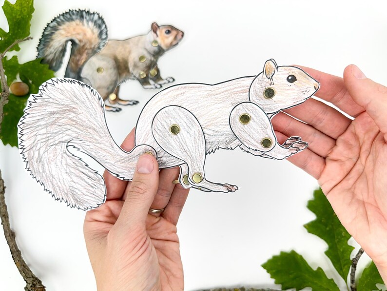 Printable SQUIRREL Puppet Craft Template | DIY Articulated Jointed ...