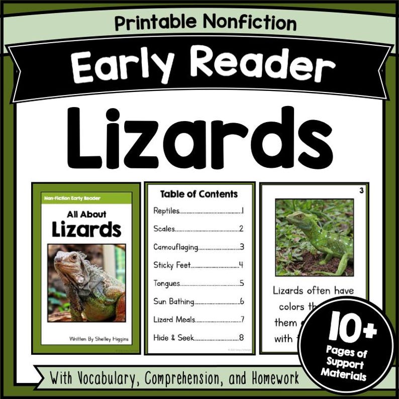 LIZARDS Reading Comprehension Worksheets Stories With Questions Kids ...