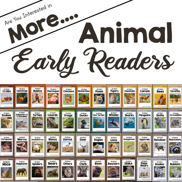 Printable Beavers NONFICTION Early Reader PDF | DIY Animal Book With ...