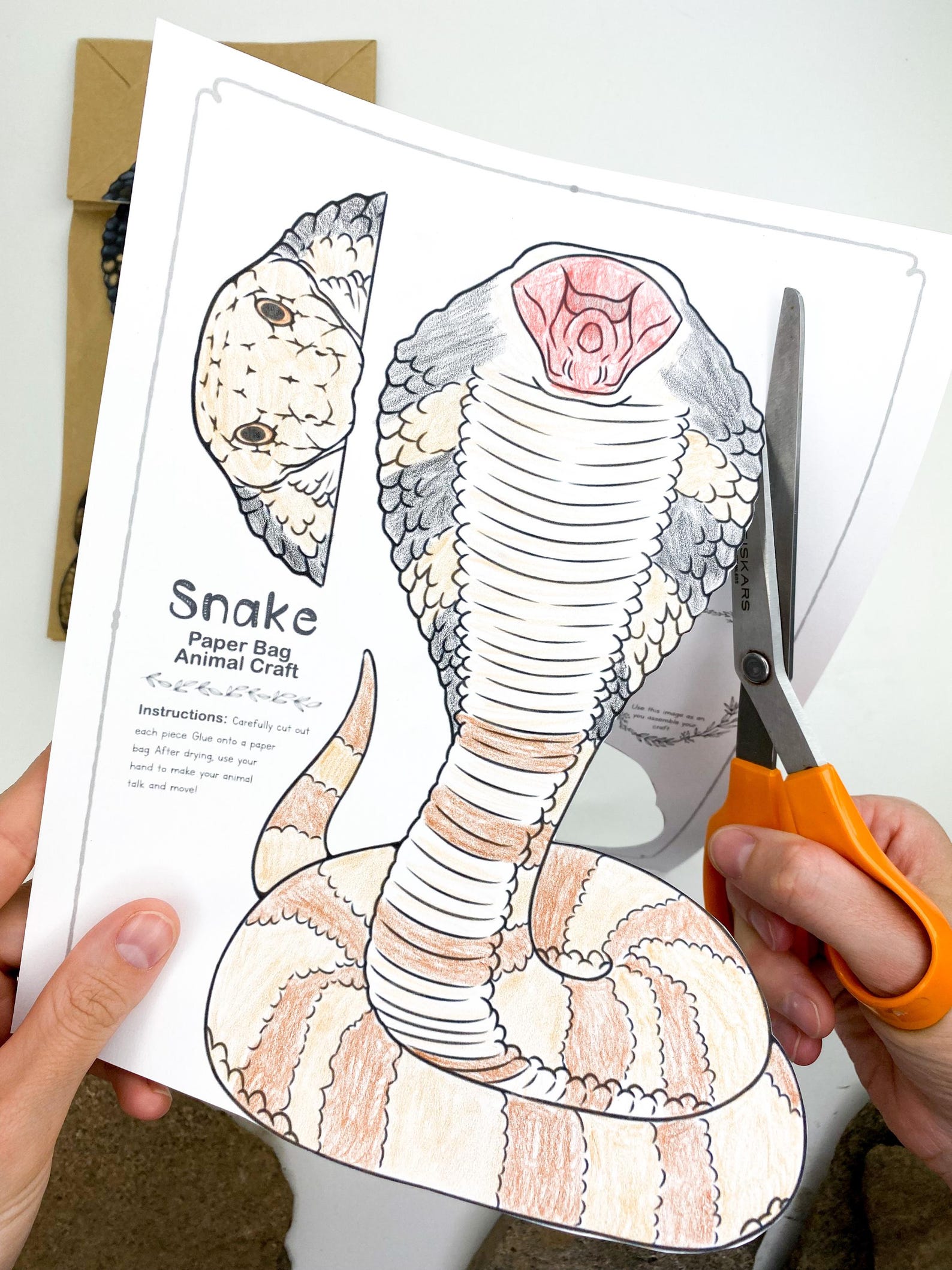 Printable SNAKE Paper Bag Puppet Craft Kit | DIY Reptile Craft PDF ...