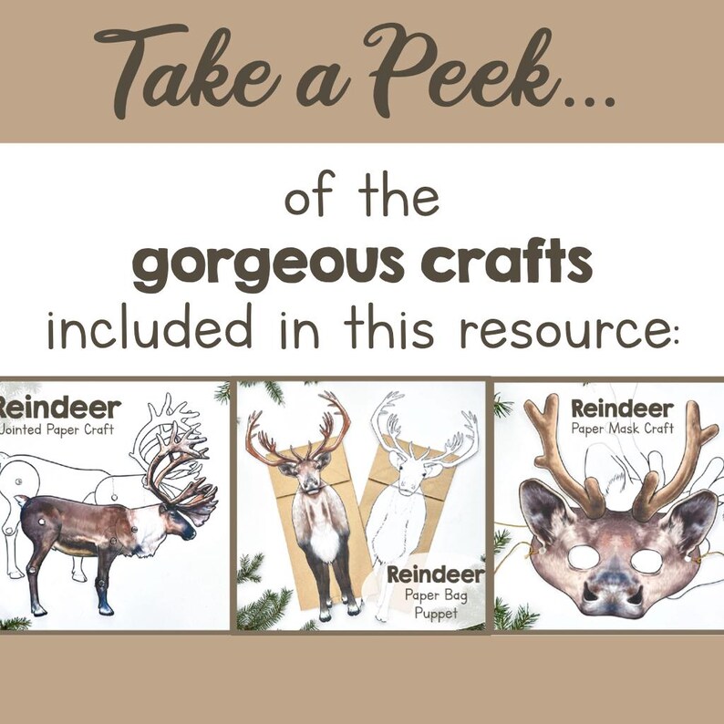 Printable REINDEER Animal Science Unit | Kids Classroom and Homeschool ...