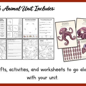 All About Octopus- Animal Science Unit - Etsy