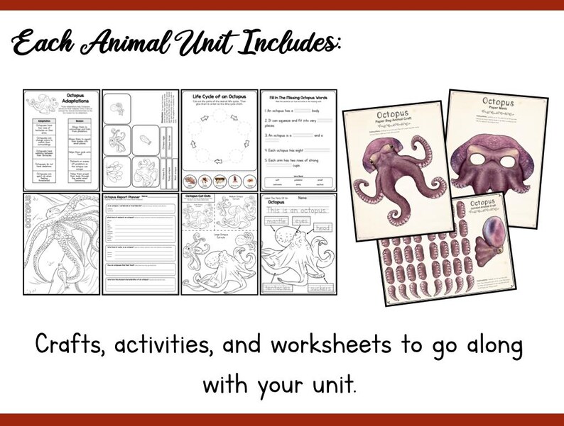 All About Octopus- Animal Science Unit - Etsy