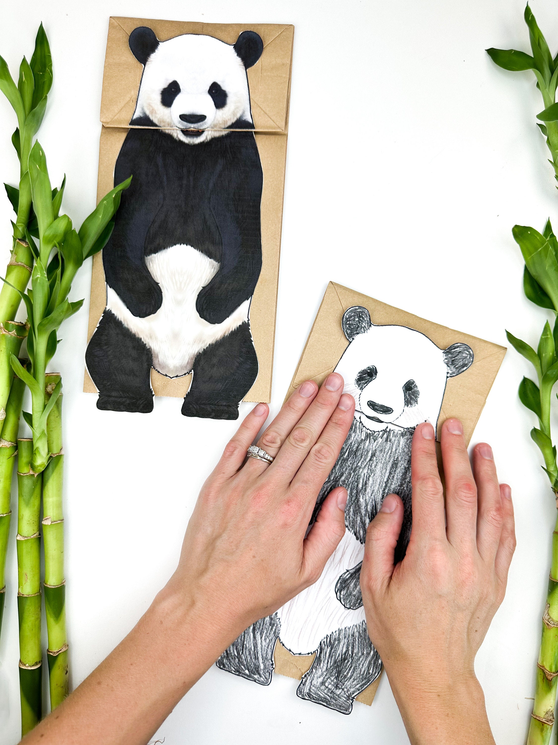 Panda Paper Bag Puppet Craft Kit | Eco-friendly Printable Template ...