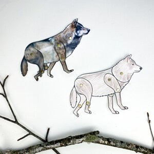 Wolf Jointed Animal Craft | Easy Assembly Articulated Wolf | Nature ...