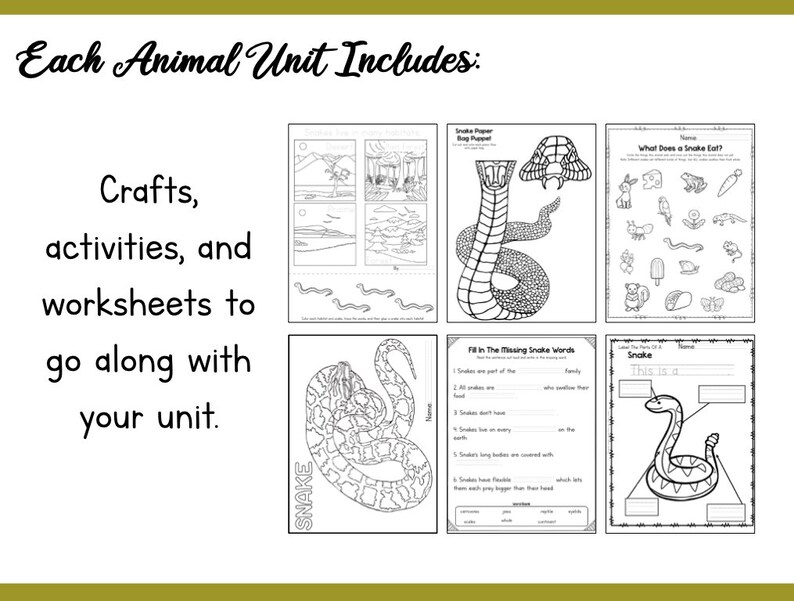 All About Snakes Animal Science Unit - Etsy
