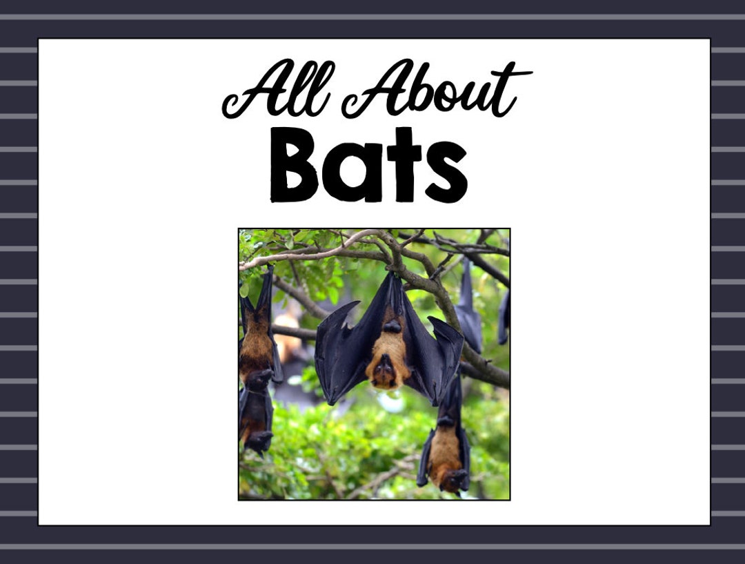 All About Bats Animal Science Unit - Etsy