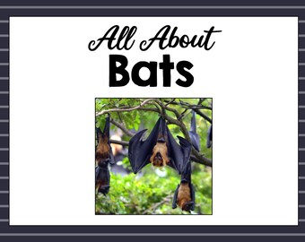 Bats Mini Science Unit - Etsy
