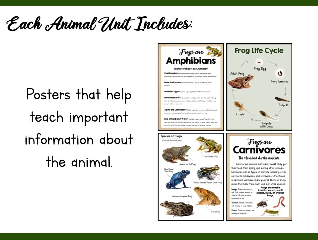 All About Frogs- Animal Science Unit - Etsy