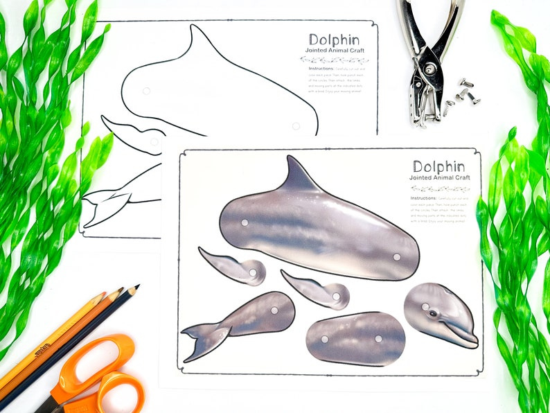 Articulated Dolphin Craft Template Jointed Printable Movable Marine ...