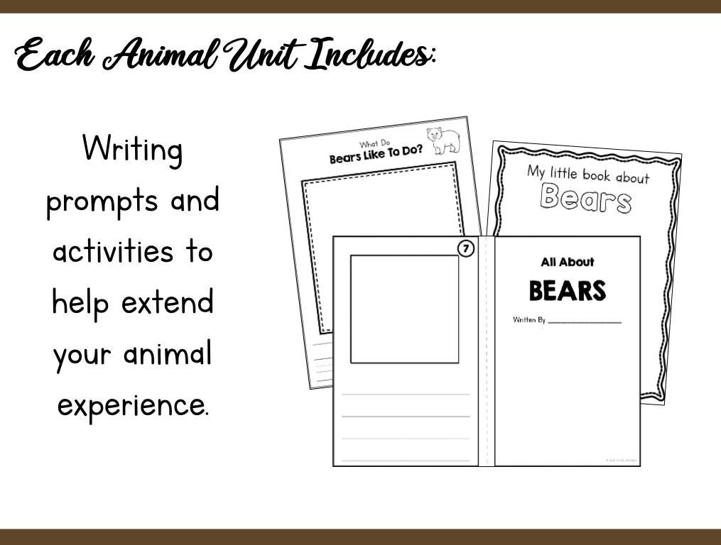 All About Bears- Animal Science Unit - Etsy
