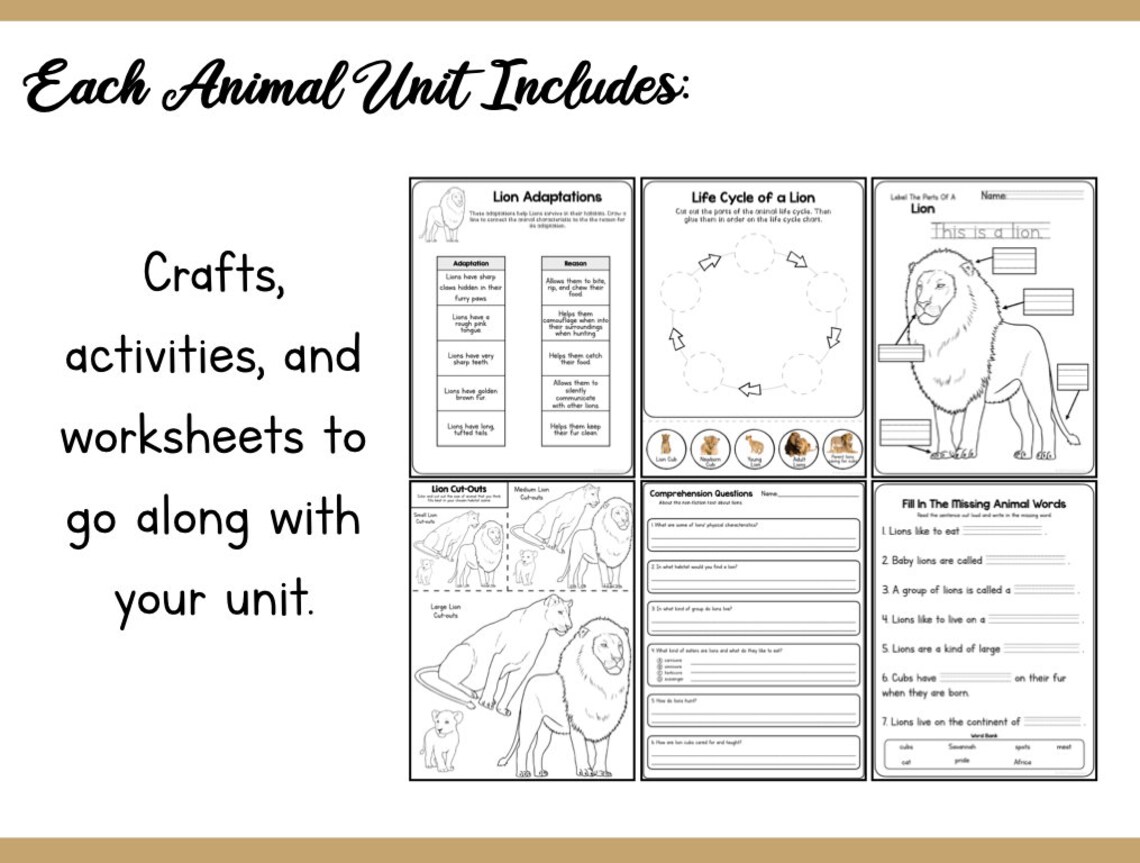 All About Lions- Animal Science Unit - Etsy