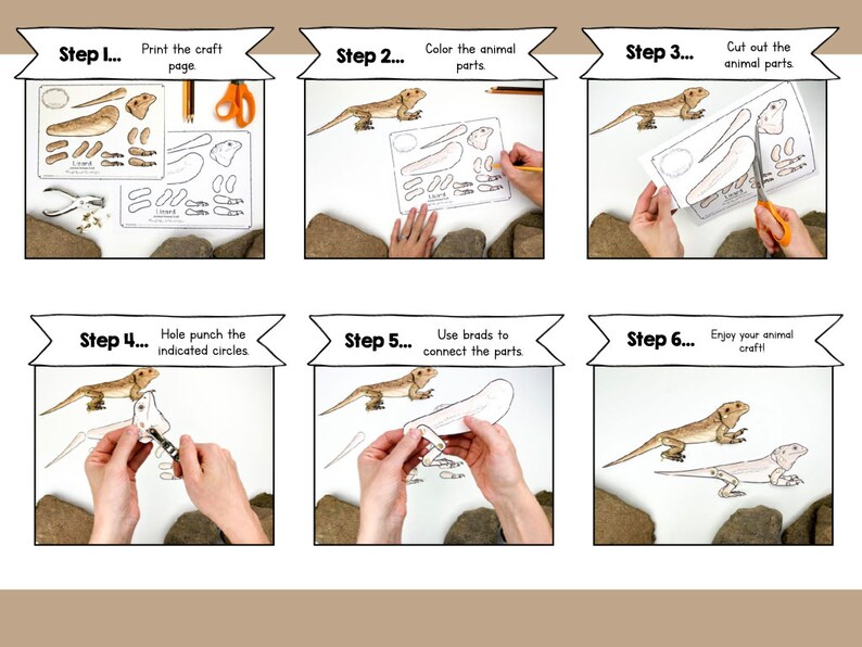 Articulated Lizard Craft Kit | Printable Joint Animal Template for ...