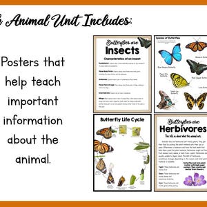 All About Butterflies- Animal Science Unit - Etsy