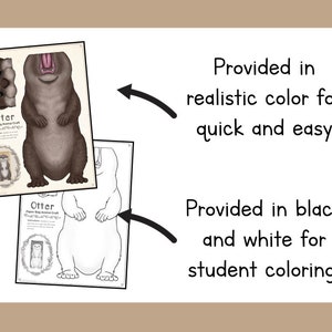 Kids Craft Otter Puppet Printable Paper Bag Template Animal Enthusiast ...