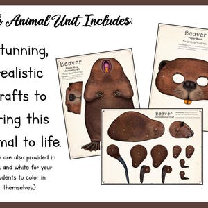 All About Beavers- Animal Science Unit - Etsy