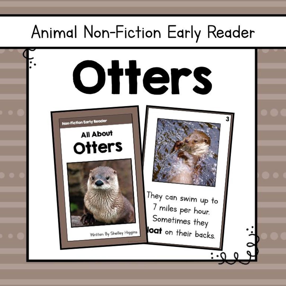 OTTERS K-2 Learn to Read Worksheets Early Reading Comprehension Short ...