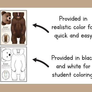 DIY Bear Puppet Printable | Fun Paper Bag Craft Template | Easy Puppet ...