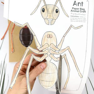 DIY Printable ANT Paper Bag Puppet Craft | Insect Template PDF | Fun ...