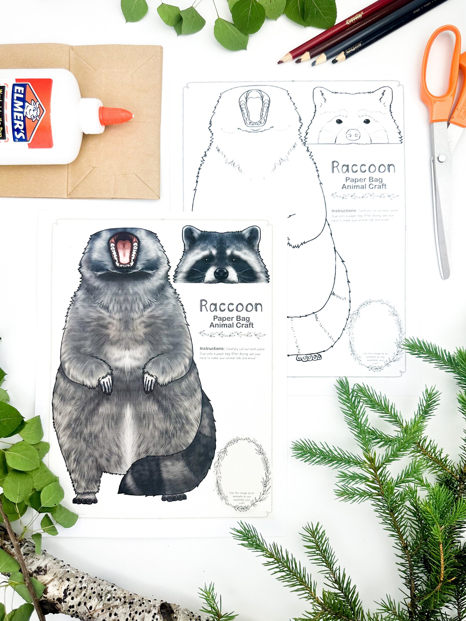 Printable Raccoon Puppet Template | Creative Paper Bag Craft | Hands-on ...