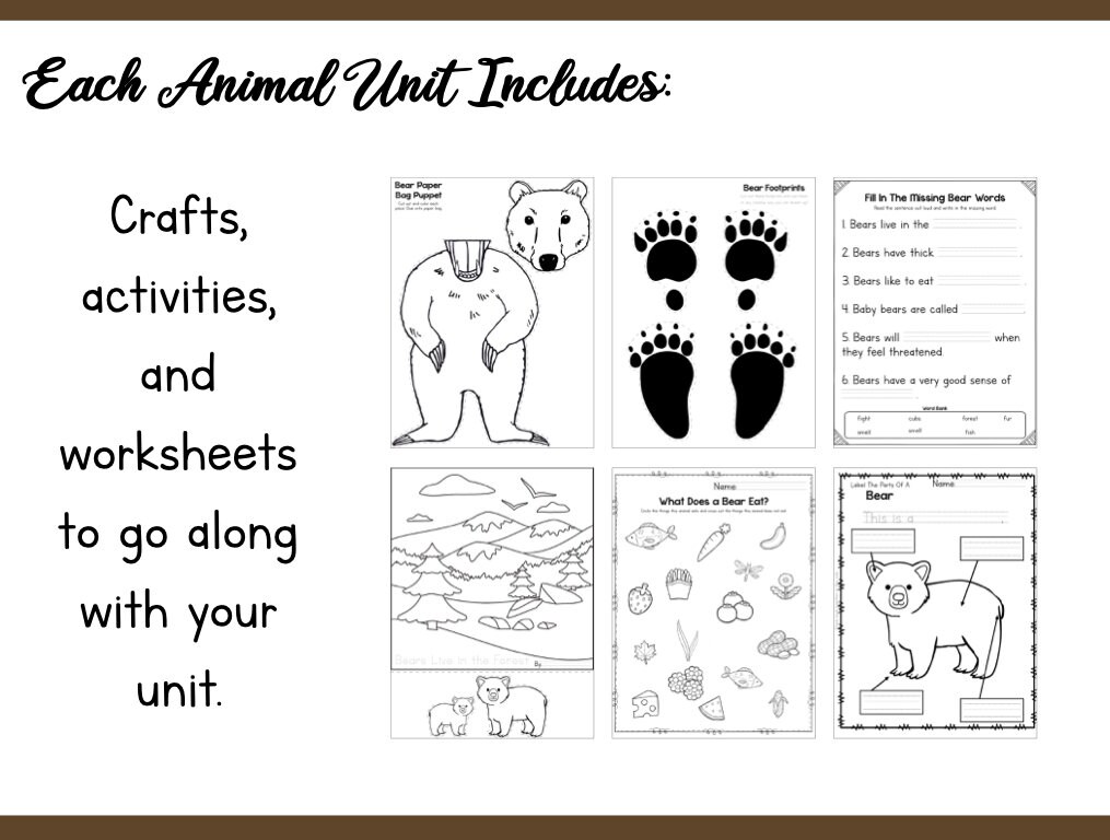 All About Bears Animal Science Unit - Etsy