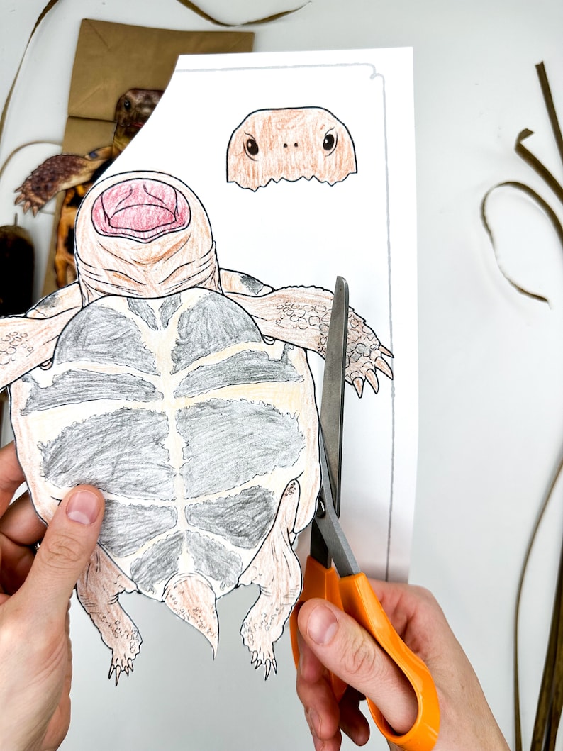 Printable Turtle Puppet Craft | Sea Turtle Paper Craft Template | Beach ...