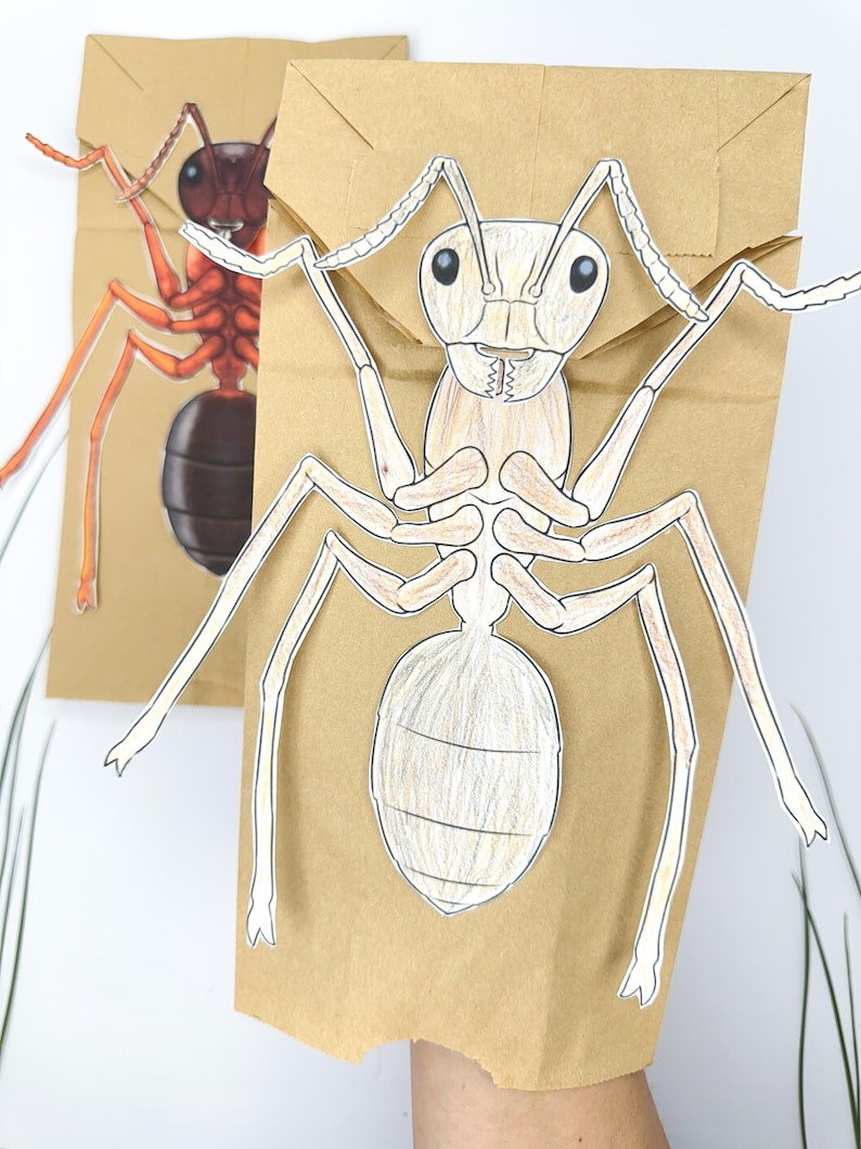 DIY Printable ANT Paper Bag Puppet Craft | Insect Template PDF | Fun ...