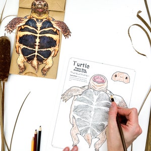 Turtle Paper Bag Puppet Printable Craft Template Turtles - Etsy