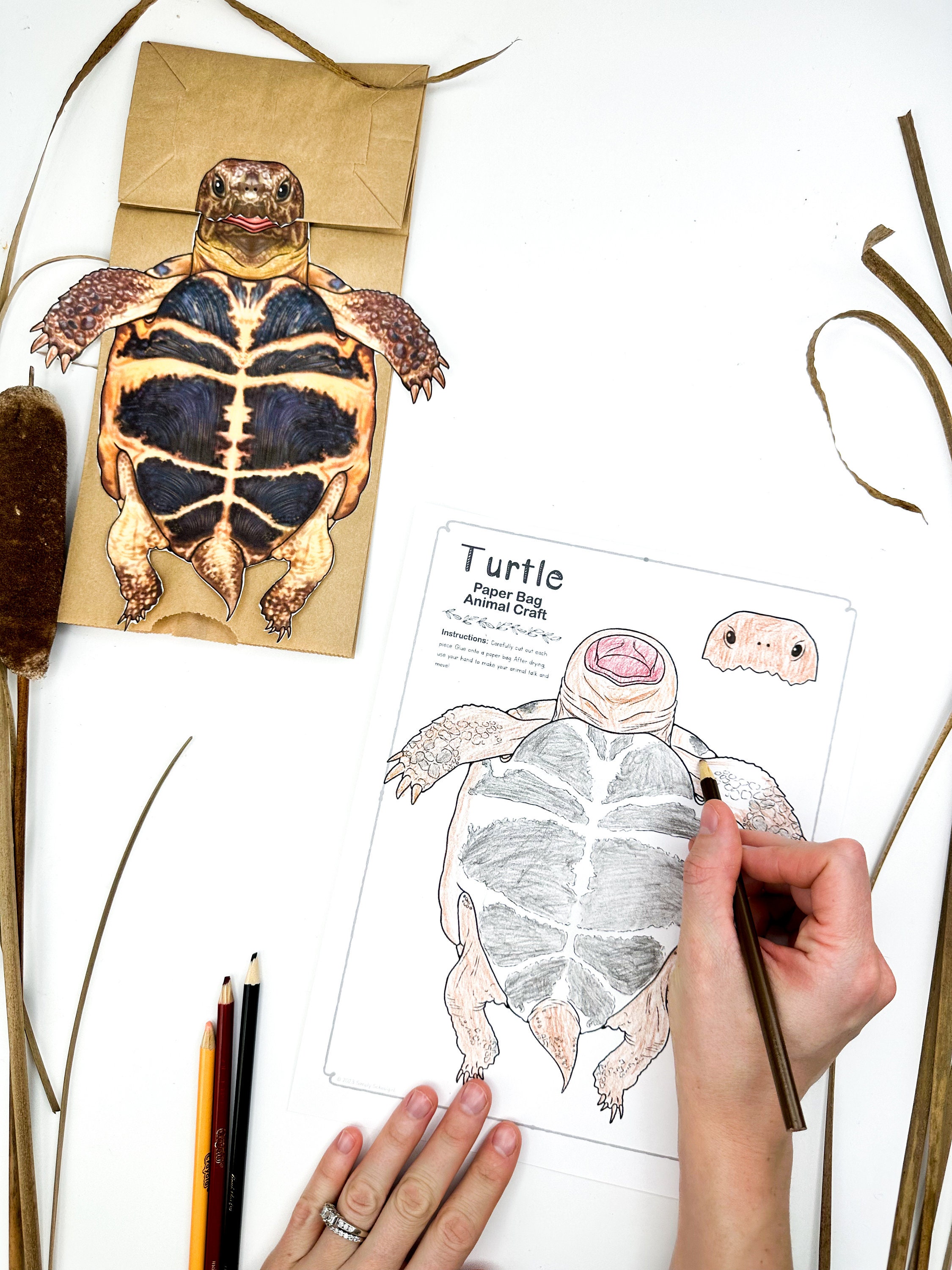 PRINTABLE Turtle Puppet Craft Kit | DIY Sea Turtle Paper Bag Template ...