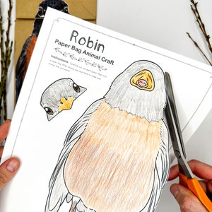Robin Paper Bag Puppet Kit Autistic Kids Crafts Time Activity Printable ...