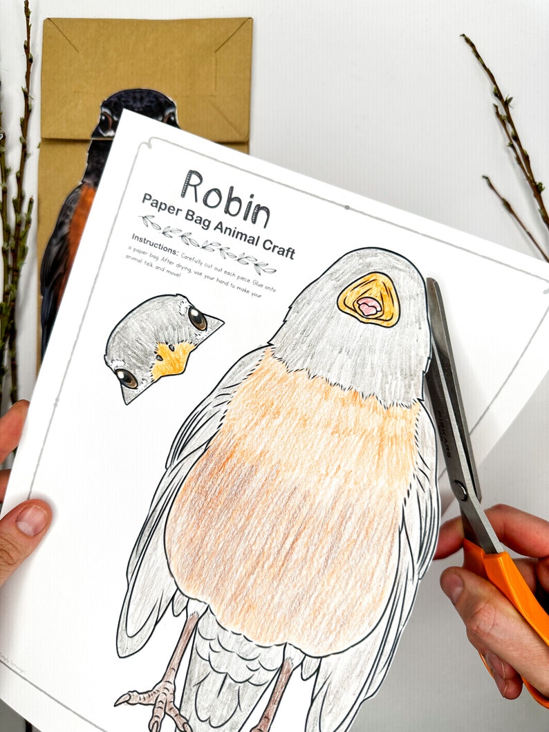 Robin Paper Bag Puppet Kit Autistic Kids Crafts Time Activity Printable ...