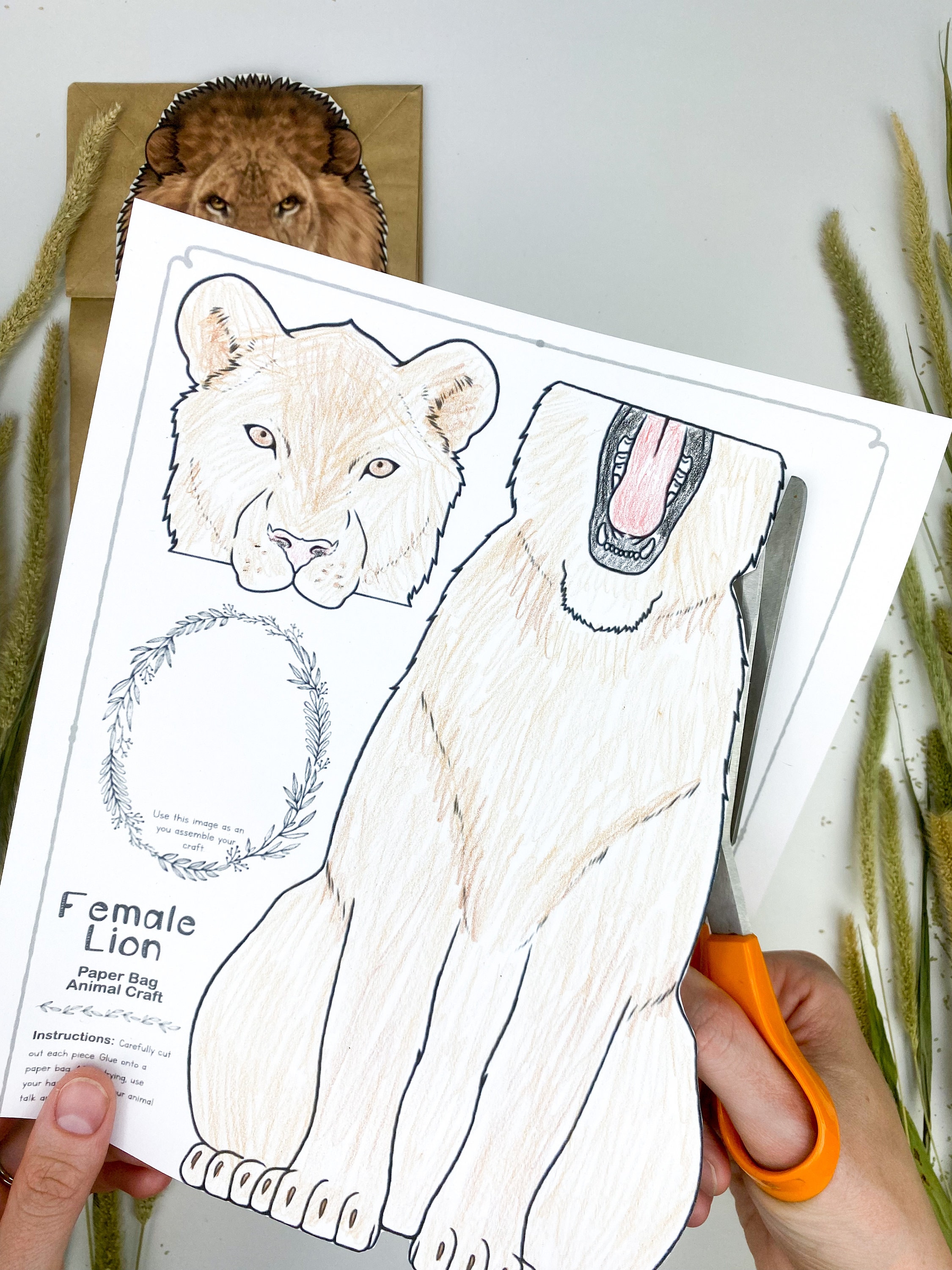 Lion Paper Bag Puppet Craft Template | Safari Animal Puppet for ...