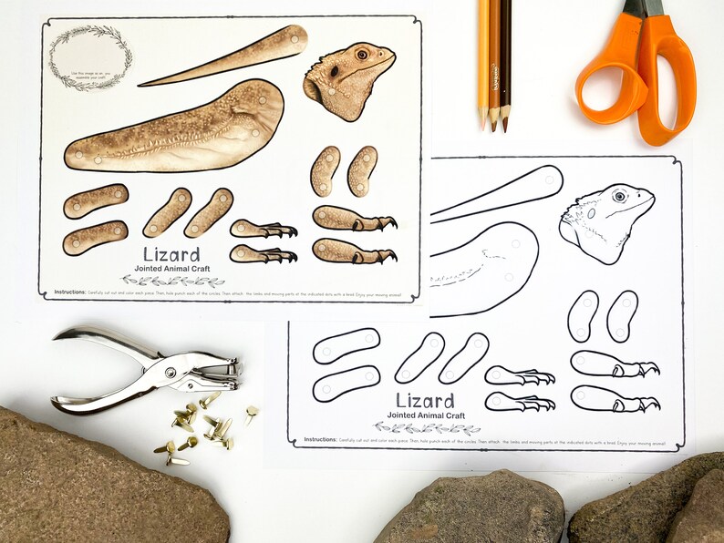 Printable Articulated LIZARD Puppet Craft Kit | DIY Movable Reptile PDF ...