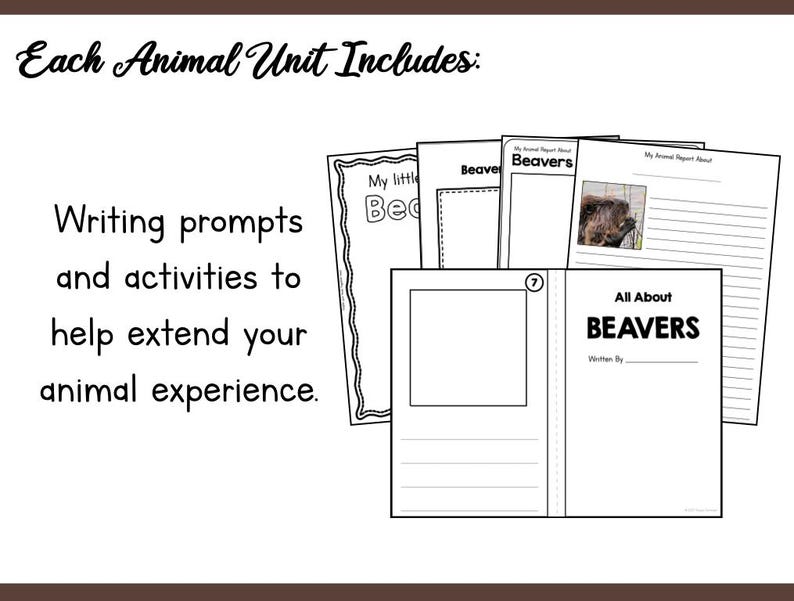 All About Beavers- Animal Science Unit - Etsy