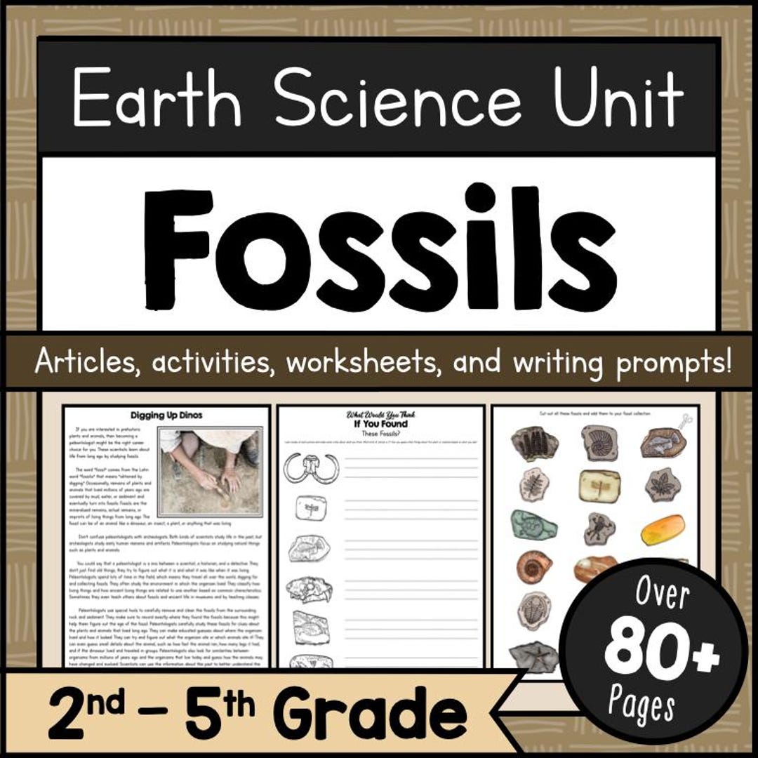 Fossils Science Unit Study PDF Paleontology Curriculum Worksheets ...