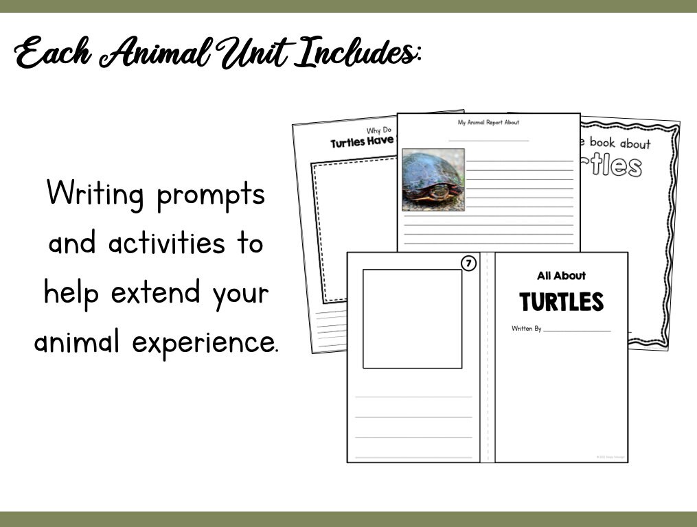 All About Turtles- Animal Science Unit - Etsy
