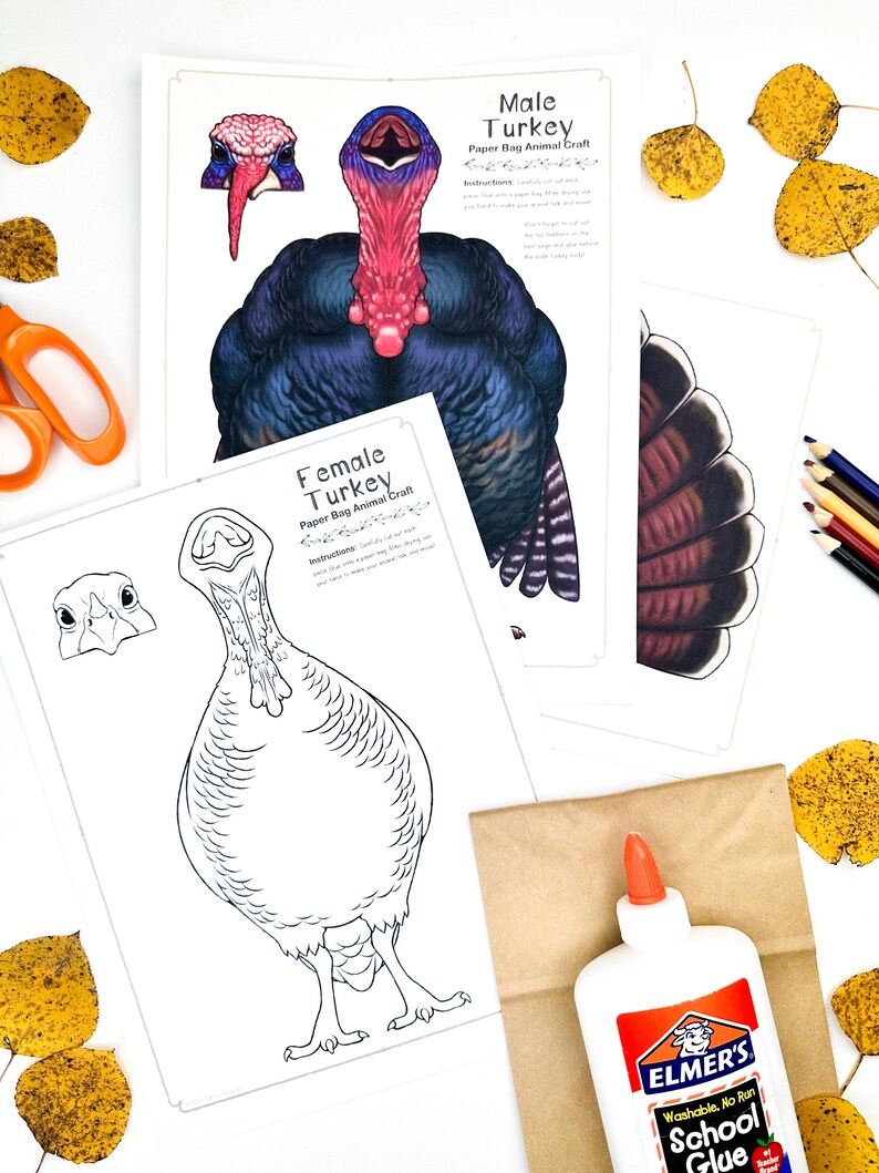 TURKEY Paper Bag Puppet Craft Kit | Printable Template PDF | Fun Eco ...