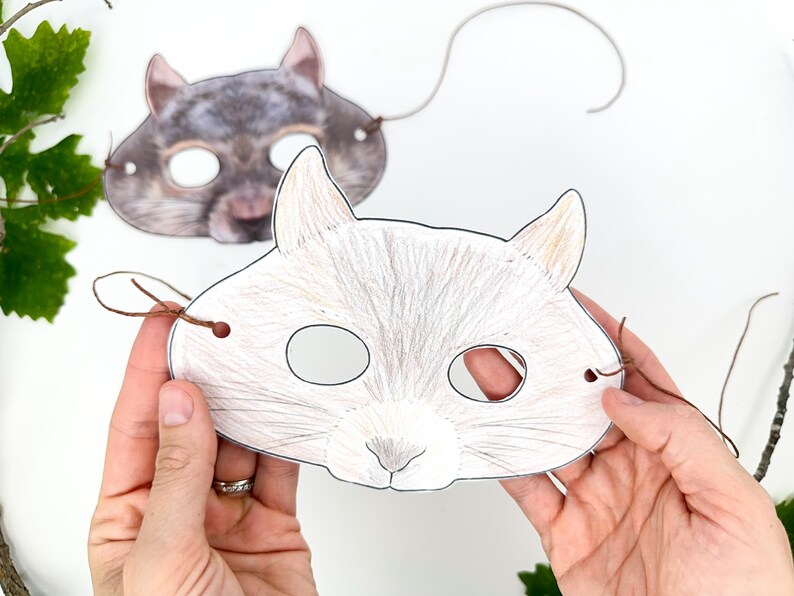 Printable Squirrel Paper Mask | Eco Friendly DIY Craft Template | Fun ...