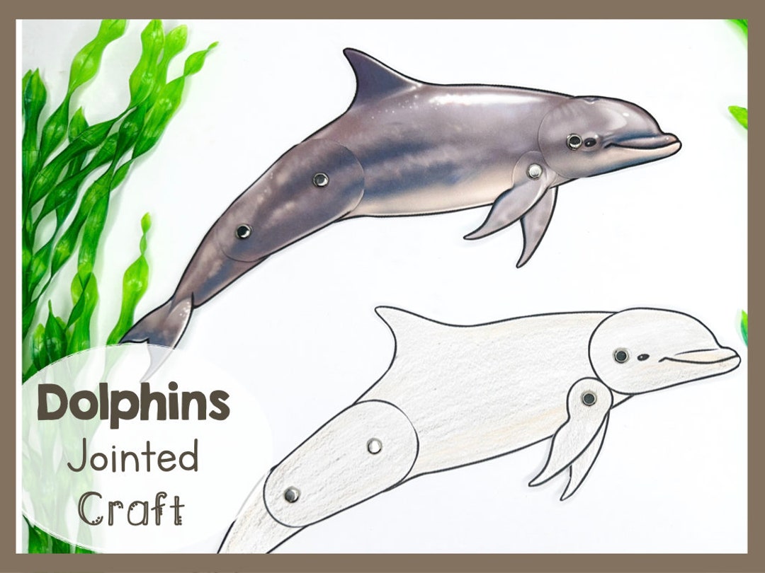 Articulated Dolphin Craft Template | Jointed Printable Movable Marine ...