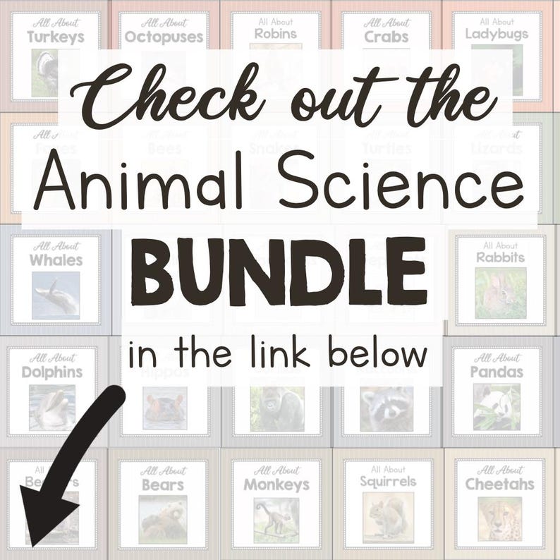 Printable SNAKE Animal Science Unit Template Kit | DIY Arctic Animal ...