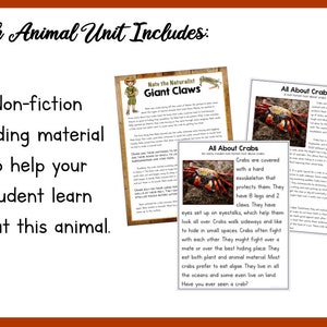 All About Crabs- Animal Science Unit - Etsy
