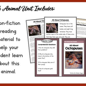 All About Octopus- Animal Science Unit - Etsy