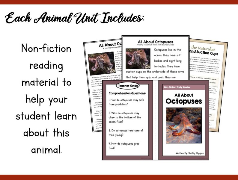 All About Octopus- Animal Science Unit - Etsy