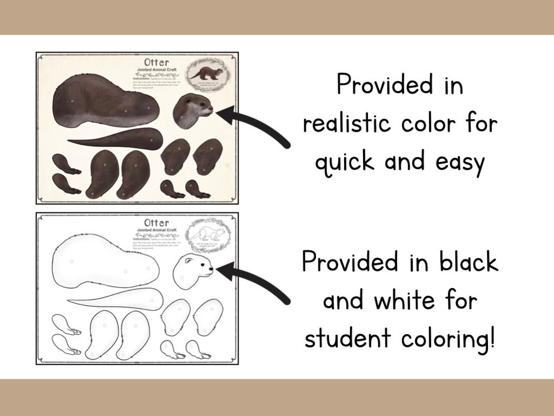 Printable Otter Craft Template Articulated Jointed Animal Woodland ...