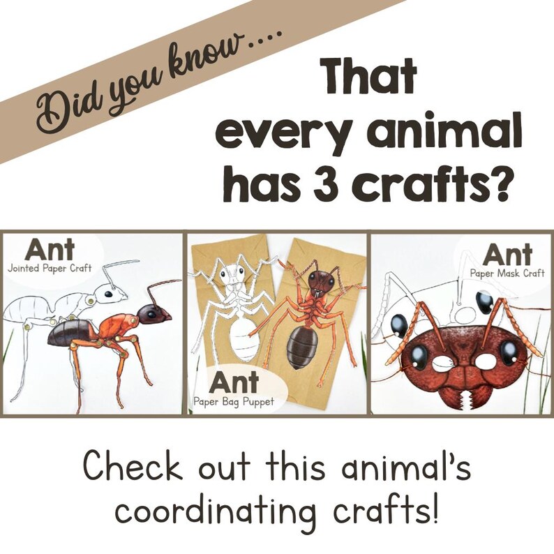 ARTICULATED Ant Paper Craft Kit | Printable Jointed Insect Template ...