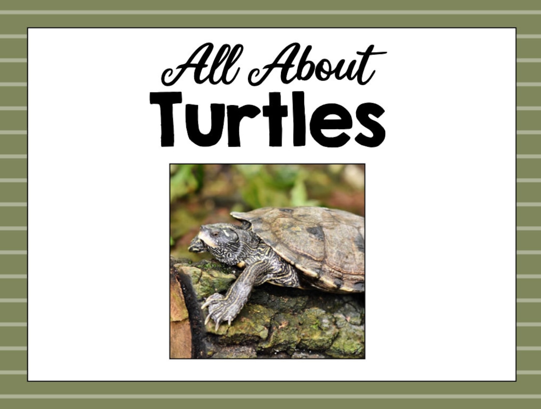 All About Turtles- Animal Science Unit - Etsy