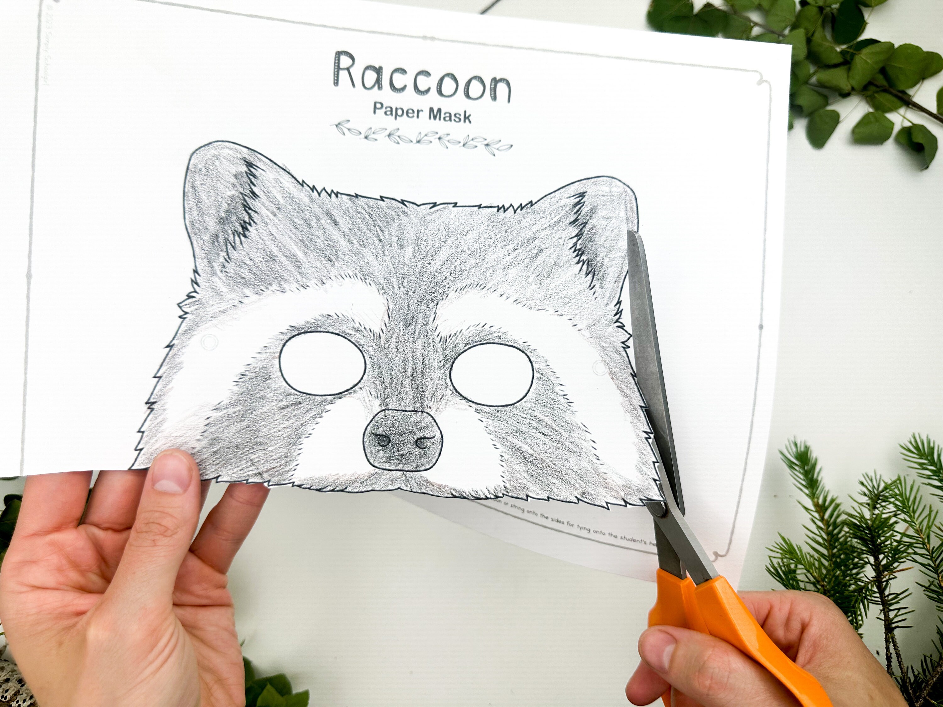Raccoon Paper Mask Craft Kit | Printable Animal Mask | Fun Party Favor ...