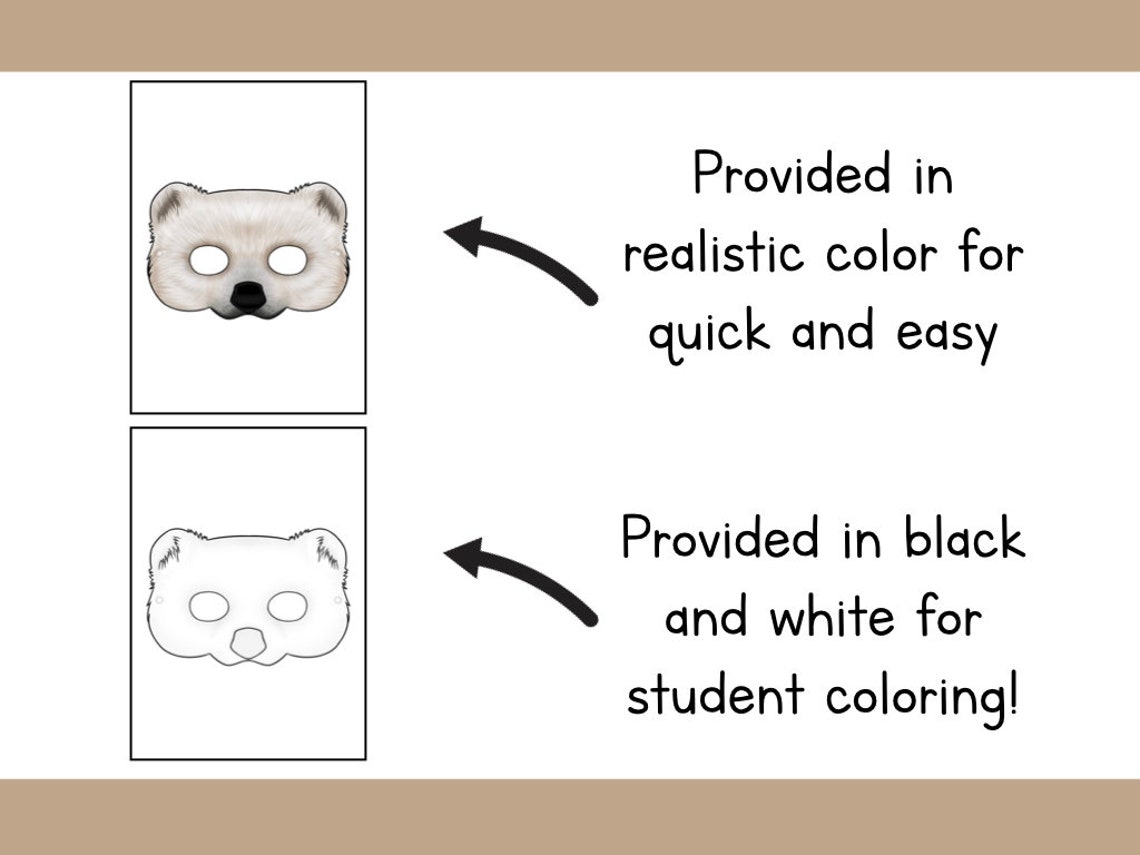 Polar Bear Paper Mask Template | DIY Printable Arctic Animal Craft ...